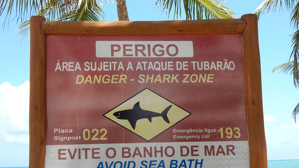 RECIFE, BRAZIL – Peter's Travel Blog