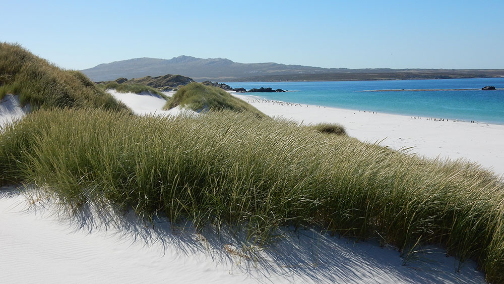 STANLEY, FALKLAND ISLANDS – Peter's Travel Blog